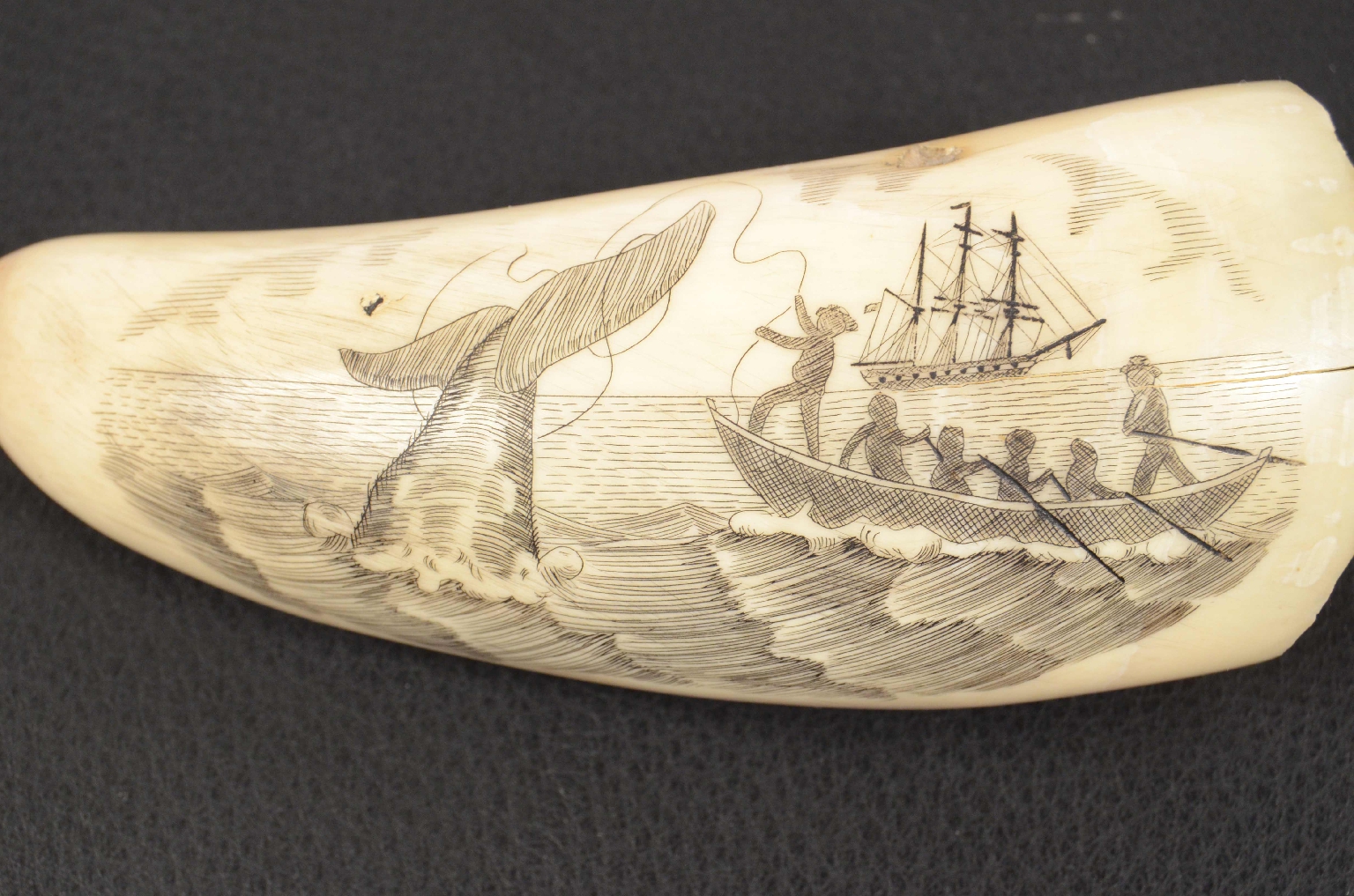 e-Shop/Nautical antiques/Code 631 Scrimshaw