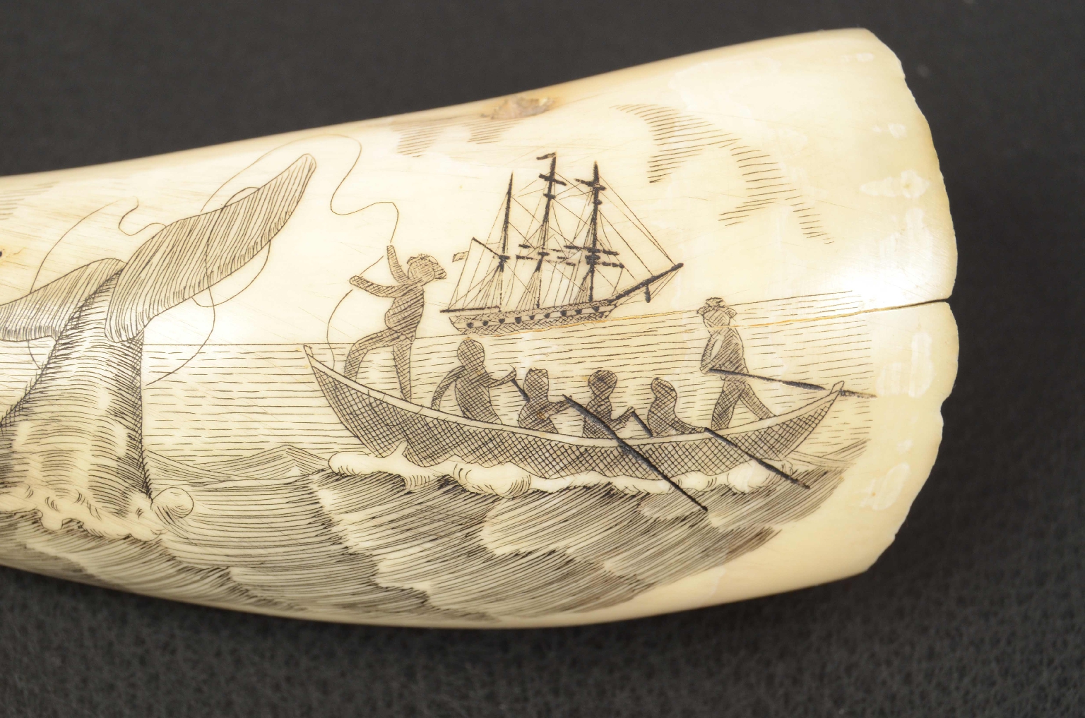 e-Shop/Nautical antiques/Code 631 Scrimshaw