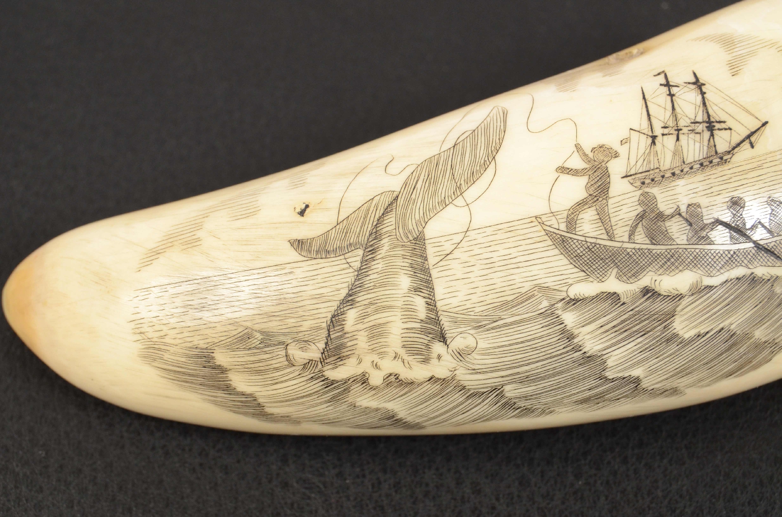 e-Shop/Nautical antiques/Code 631 Scrimshaw